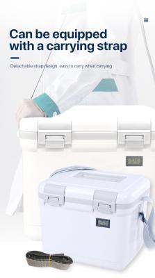 China Phefon Portable 6L Hard Cooler with Comfortable Handle Design for sale