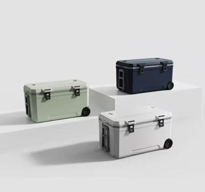 China 48h Cold Storage Camping Cooler Box 940x550x495mm Customizable for sale