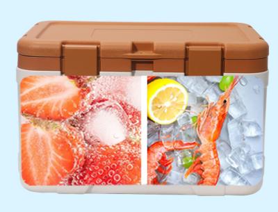 China 50L Capacity Ice Cooler Box with Temperature Display and 1 Year Warranty for Outdoor Camping for sale