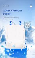 China FS-85L Model Ice Cooler Box with Carton Packing and Supply One Set Ice Pack for Outdoor Camping for sale
