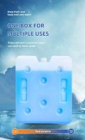 China Customize Mold Support PCM Ice Pack with Various Sizes and -15 to -25C Temperature Range for sale
