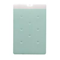 China Leakproof Lightweight 200 Grams Gel Ice Pack Reusable Ice Brick Certified SGS RoHS CE ISO for Cooler Box for sale