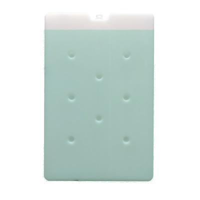 China Leakproof Lightweight 200 Grams Gel Ice Pack Reusable Ice Brick Certified SGS RoHS CE ISO for Cooler Box for sale