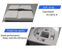 China High-Performance Vaccine Carrier for Secure Vaccine Storage and Cold Chain Distribution With One Set Ice Pack for sale