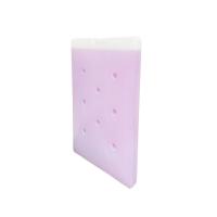China Leakproof Gel Ice Pack Reusable Support Customization Perfect for Camping Ice Box Maintain Temperature Long Lasting for sale