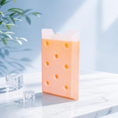 China PCM Ice Packs  cold chain applications including vaccine transport food delivery and laboratory sample storage for sale