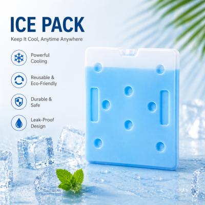 China Can Be Used For Cold Storage Ice Pack Customizable Design Support Perfect For Medical And Food Applications for sale