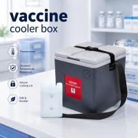 China High-Performance Vaccine Carrier for Secure Vaccine Storage and Cold Chain Distribution With One Set Ice Pack for sale