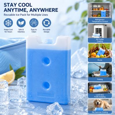 China Leakproof PCM Ice Packs Durable Customize Support Engineered for Long Lasting Cooling and Safe Handling During Transport for sale