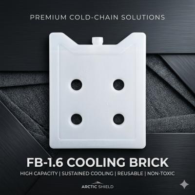China Durable PCM Ice Packs Offering Pcm Temperature Range 15-25C Different Sizes Ideal for Temperature Sensitive Cold Storage for sale