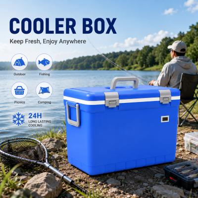 China Optional Install Ice Cooler Box Outdoor Customize Yes Heavy Duty Temperature Controlled Storage Box Perfect for Outdoor for sale