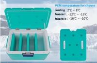 China 54 Liters Hard Cooler Featuring Optional Temperature Display And Ice Pack Configuration Supply One Set Suitable For Cold ChainTransport for sale