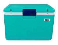 China 1 Unit ctn Hard ice cold box featuring hinged secure latch designed for cold chain logistics and safe temperature control for sale