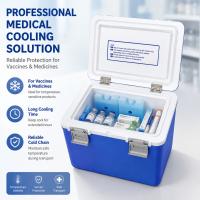 China 10L Insulated Medicine Transport Box with Long-Lasting Cooling Performance for Healthcare Use for sale