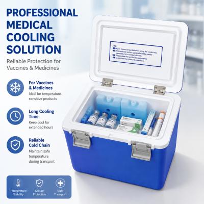 China 10L Insulated Medicine Transport Box with Long-Lasting Cooling Performance for Healthcare Use for sale