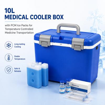 China Temperature Display Optional Select Ice Medication Cold Box 2.5kg Thermal Carrier for Pharmaceutical Cold Chain Management for sale