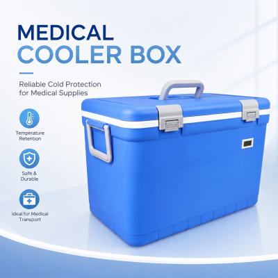 China Shockproof And Waterproof Design Small Portable Cooler For Medicine Vaccine Cooler Box Compact And Designed To Protect Sensitive Medical Products for sale