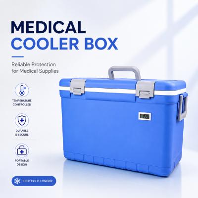 China Ice Packs Supply One Set Medical Cooler Box CE Certified Customized Logo Designed for Cold Chain Management in Healthcare for sale