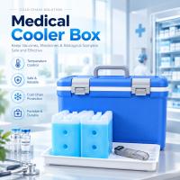 China Medical Cooler Box, Portable Isothermal Cold Chain Transport Case with Temperature Recorder, Stable 2‑8°C Storage Carrier for Vaccines, Lab Specimens, Biological Samples and Reagents for Clinic, Field for sale