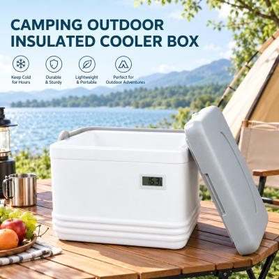 China 5L Volume Ice Cooler Box Engineered to Facilitate Fresh Food Transportation Compact Size and Superior Cooling Efficiency for sale