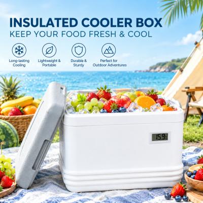 China Camping Cooler Box with Beer Utilizing Polyurethane Foam Insulation Providing Long Lasting Cold Retention Outdoors for sale
