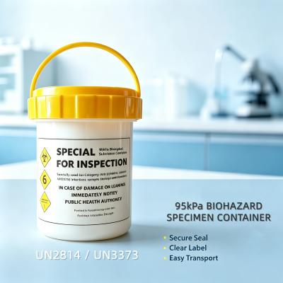 China Durable Cardboard PP Container UN3373 Test Tube Rack Designed for 12 to 20 Tubes Providing Safe Sample Shipping Solution for sale