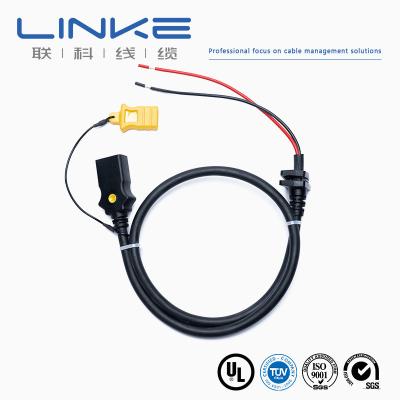 China LK-C100 95MM2 300-600V Rated Voltage Waterproof Electric Wire Harness Cable Assembly for Measuring Equipment for sale