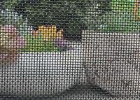 China Stainless Steel Security Window Screen for sale