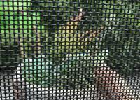 China Stainless Steel Security Window Screen for sale