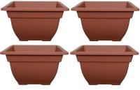China 6 Inch Plastic Nursery Pots for Seedlings 20 Pack Sturdy Reusable Planters with Drainage Holes for sale