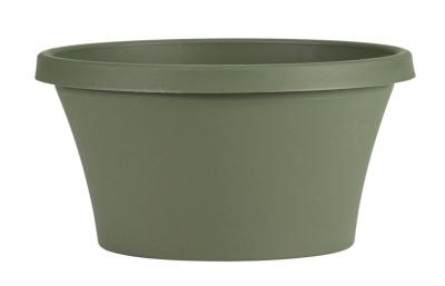 China Thermal Formed Horticultural Plant Pots for Flower Seedling 50pc PP Plastic for sale