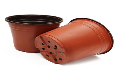 China Plastic PP Desktop Horticultural Rose Plant Pots 24 Sizes Round Red for sale