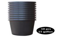 China PP Resin Horticultural Plant Pots 6 Inch Diameter 100 Pack for Seedling Nursery for sale