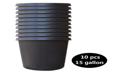 China PP Resin Horticultural Plant Pots 6 Inch Diameter 100 Pack for Seedling Nursery for sale