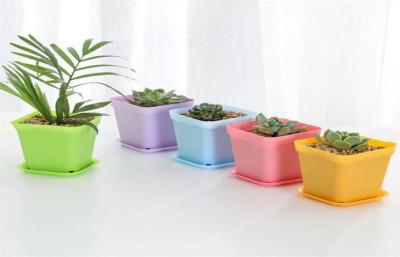 China PP Resin Round Flower Pots 9x6x8cm Not Brittle Durable for Indoor Gardening for sale