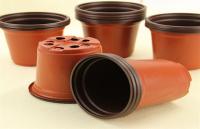 China 10 Pack 5.5 Inch Plastic Flower Pots with Trays Multicolor Indoor Outdoor Planters Drainage Holes for sale