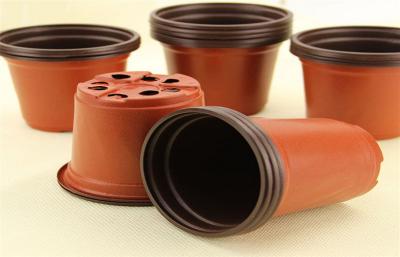 China 10 Pack 5.5 Inch Plastic Flower Pots with Trays Multicolor Indoor Outdoor Planters Drainage Holes for sale