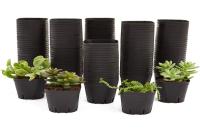 China Plastic Plant Pots with Drainage Holes for Bonsai 6 Inch Nursery Containers for sale