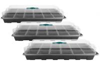 China 24 Cell Seedling Tray 0.5mm Thickness PS Plastic Horticultural Greenhouse Propagation Tray for sale