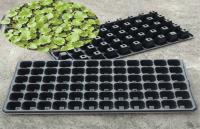 China Plastic Seed Starting Trays 21 to 225 Cells Plant Growing Rice Tray for Nursery for sale