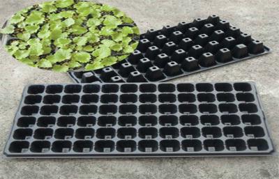 China Plastic Seed Starting Trays 21 to 225 Cells Plant Growing Rice Tray for Nursery for sale