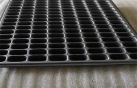 China Large Plastic Germination Trays 105 Cells Greenhouse Thermoforming Seed Starter for sale