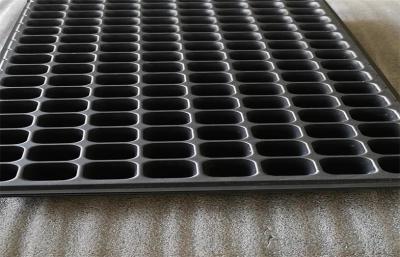 China Large Plastic Germination Trays 105 Cells Greenhouse Thermoforming Seed Starter for sale