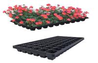 China PS Seedling Tray 72 Cells 540x280mm for Nursery Germination Flower Vegetable for sale