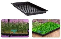 China PVC Seedling Germination Trays with Dome 10 Cells for Tomato Grow Starting Custom Size for sale