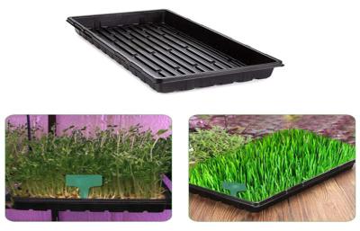 China PVC Seedling Germination Trays with Dome 10 Cells for Tomato Grow Starting Custom Size for sale