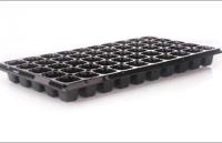China 60 Cells Seed Planter Tray 540x280mm PS Plastic Germination Nursery Tray for sale