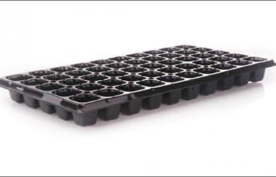 China 60 Cells Seed Planter Tray 540x280mm PS Plastic Germination Nursery Tray for sale