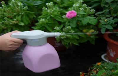 China 2L Plastic Garden Pressure Sprayer Watering Can for Indoor Outdoor Plant Care for sale