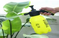 China Candy Colored Plastic Sprayer Watering Can 8.3 Inch Long Spout Detachable Nozzle for sale